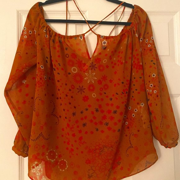 Zara | Tops | Sheer Rust Zara Off The Shoulder Top | Poshmark